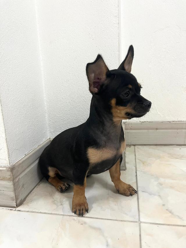 ติดต่อ LINE https://line.me/ti/p/a7uM_j22lv | ENNXO