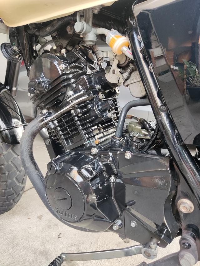 Stallion Centaur 150 ปี2015 | ENNXO