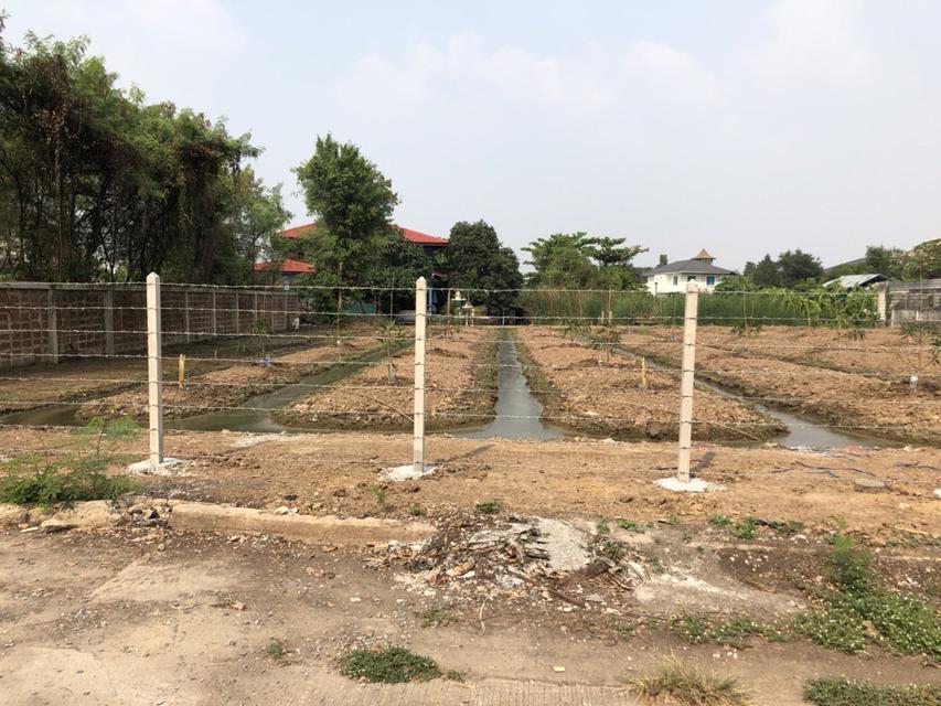 ขายที่ดินเปล่า ใกล้พุทธมณฑลสาย 2 เจ้าของขายเอง | ENNXO