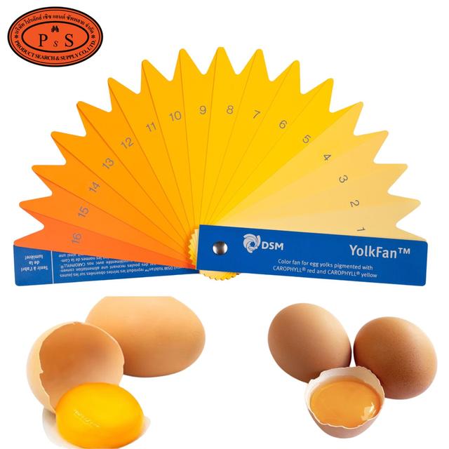 Yolk Colour Fan | ENNXO
