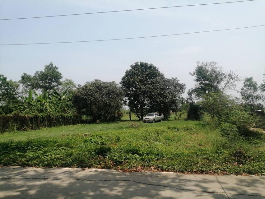 ขายที่ดินถมแล้ว 200 ตารางวา หน้ากว้าง 20 เมตร ถนนคอนกรีต อ.บ้านนา นครนายก | ENNXO