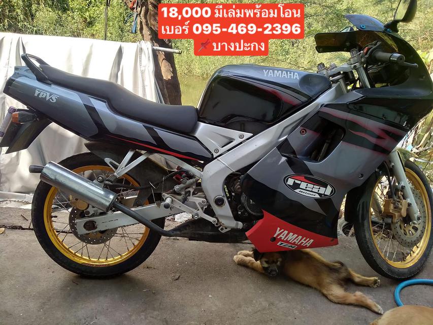 ขายรถ‼️ TZM มีทะเบียนมีเล่มเขียวมีชุดโอน | ENNXO