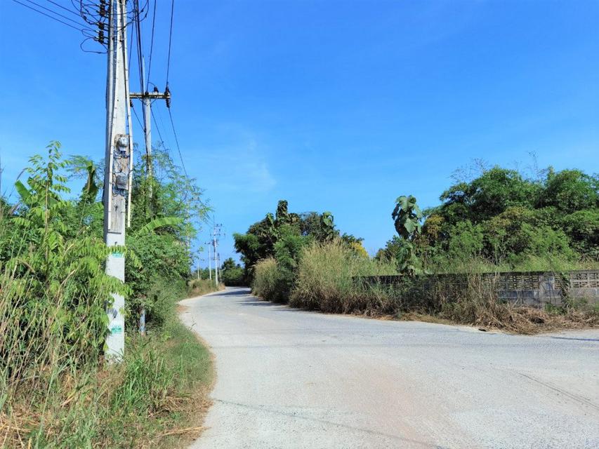 ขาย ที่ดิน ME282 ทำเลดี ไฟ 3 เฟส ปะปา หนองบอนแดง บ้านบึง ชลบุรี . 4 ไร่ ...