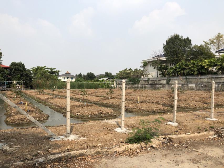 ขายที่ดินเปล่า ใกล้พุทธมณฑลสาย 2 เจ้าของขายเอง | ENNXO