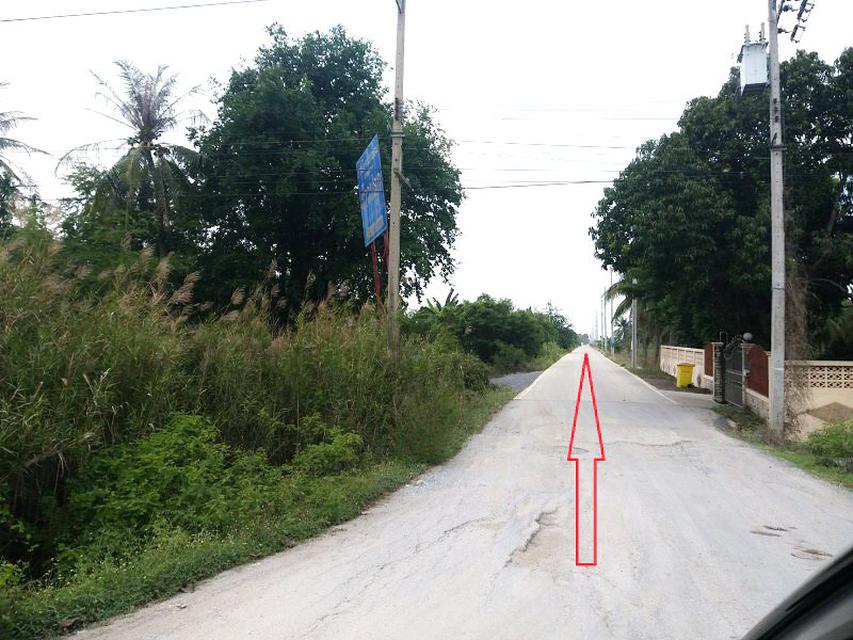 ขายที่ดินแบ่งขาย 50 ตรว.ละ 7000 | ENNXO