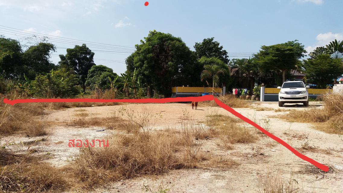 ขายที่ดิน200ตารางวา | ENNXO