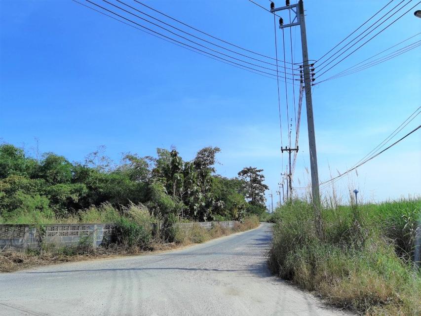 ขาย ที่ดิน ME282 ทำเลดี ไฟ 3 เฟส ปะปา หนองบอนแดง บ้านบึง ชลบุรี . 4 ไร่ ...