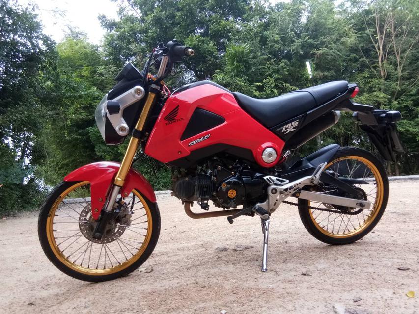 อันธิกา | ENNXO