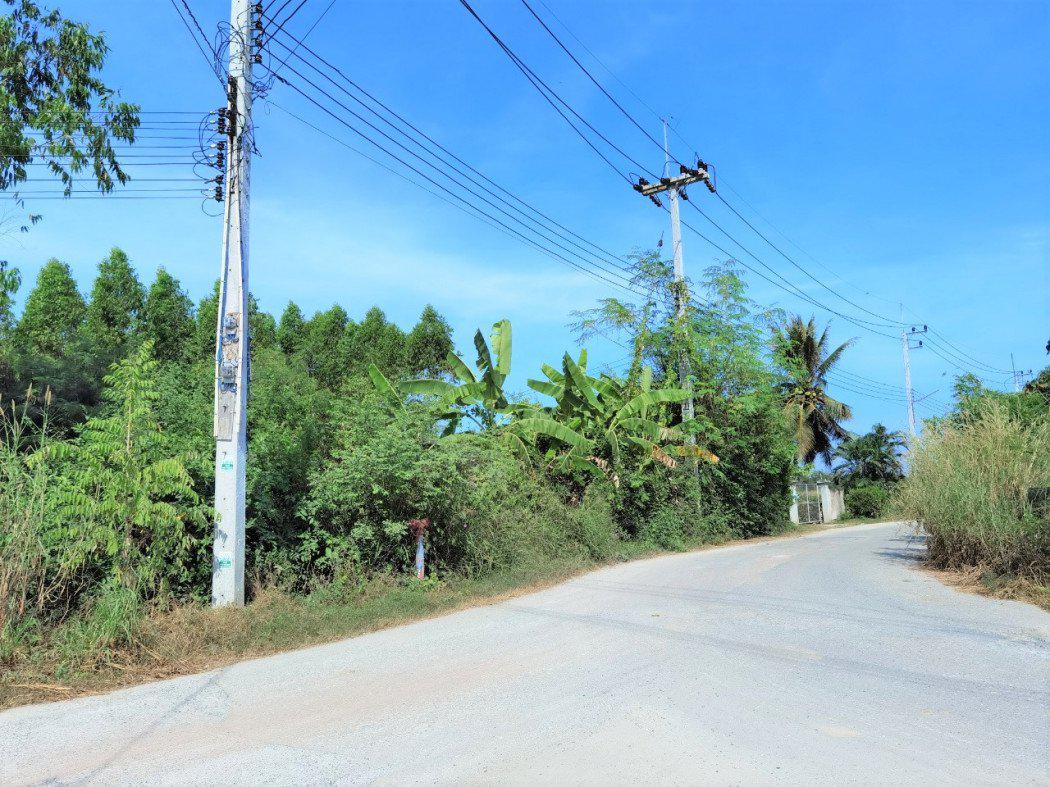 ขาย ที่ดิน ME282 ทำเลดี ไฟ 3 เฟส ปะปา หนองบอนแดง บ้านบึง ชลบุรี . 4 ไร่ ...